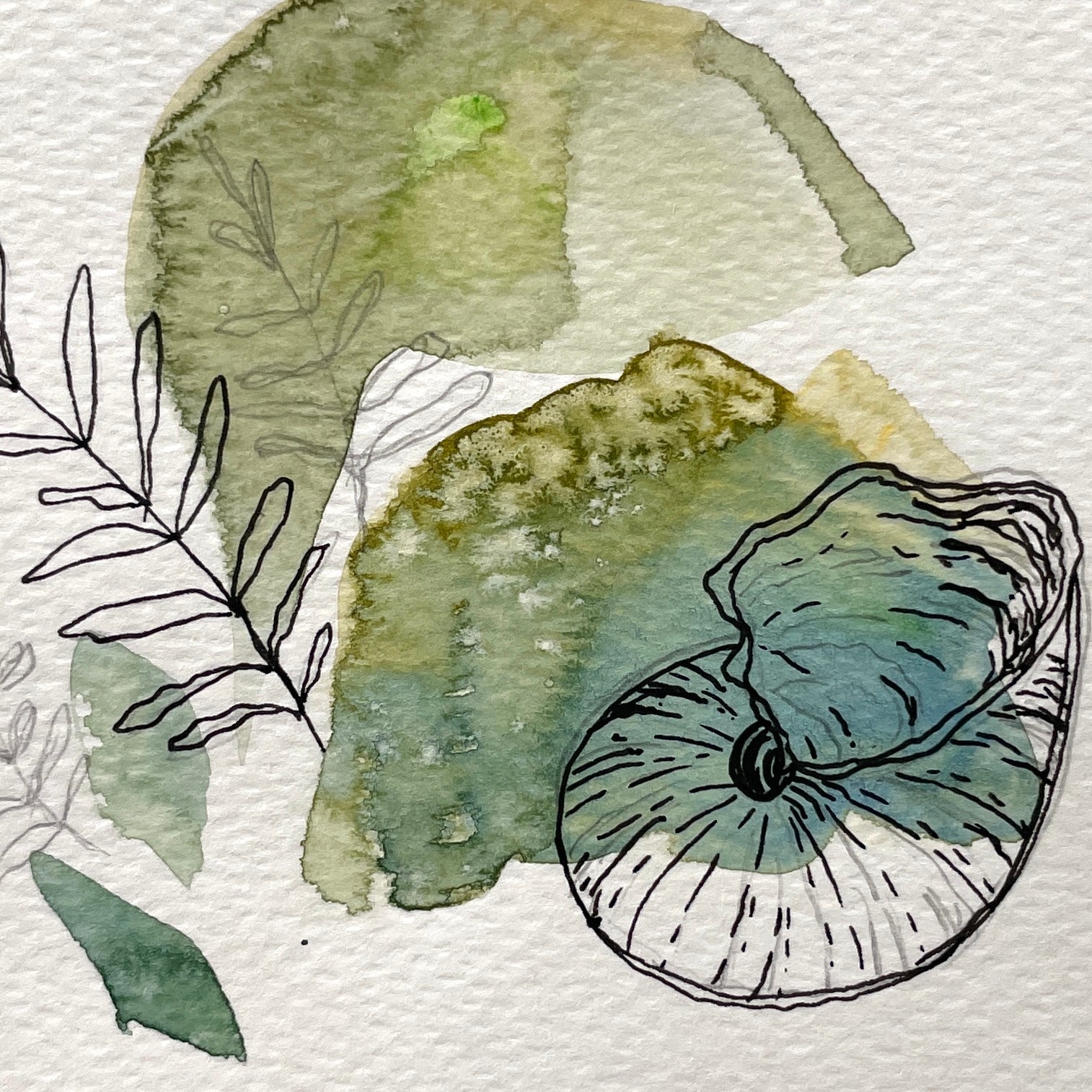 Wonderness 100 Day Project 2025 – Sunni Mockingbird